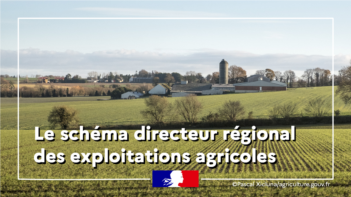 Le schéma directeur régional des exploitations agricoles de Bretagne ...